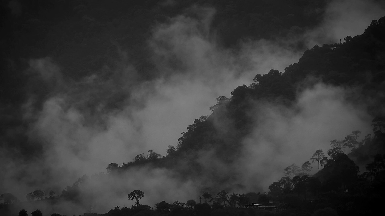 Page 26 - Fond D'Écran 4K Nature Videos: Download 33,516+ Free 4K & HD Stock Footage Clips - Pixabay