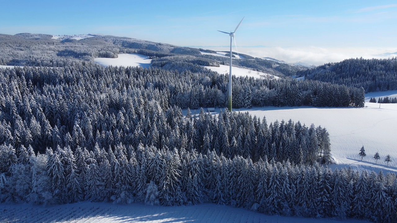 Winter, Forest, Wind. Free Stock Video - Pixabay