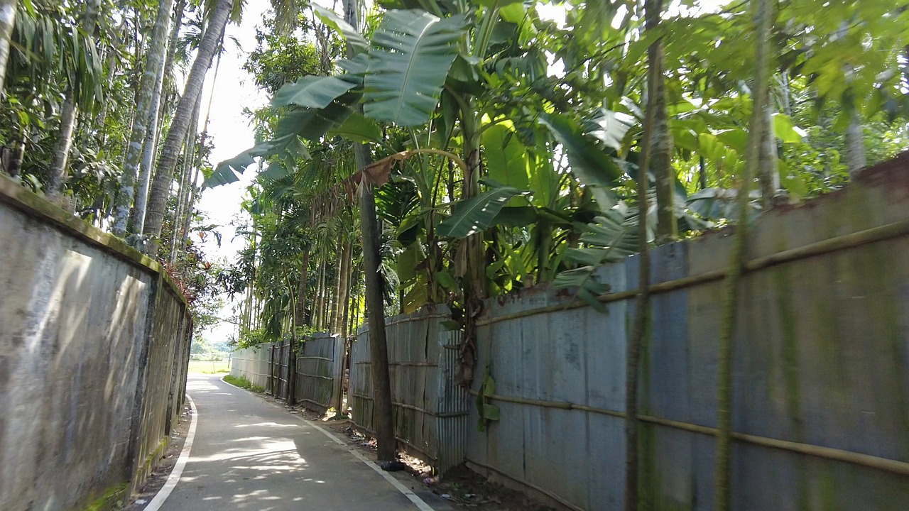 Wall, Road, Pavement. Free Stock Video - Pixabay