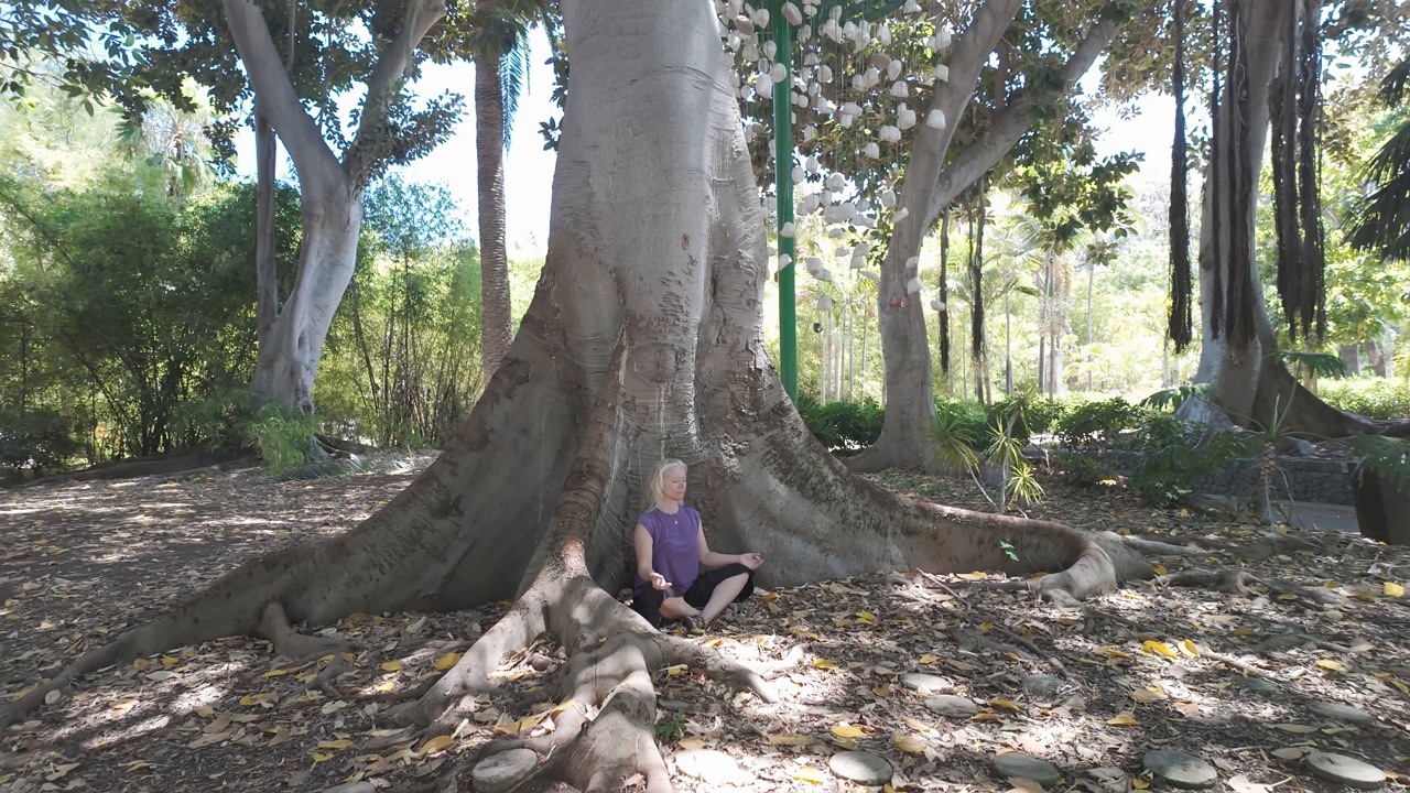 Buddha Under The Bodhi Tree Videos: Download 14,063+ Free 4K & HD Stock ...
