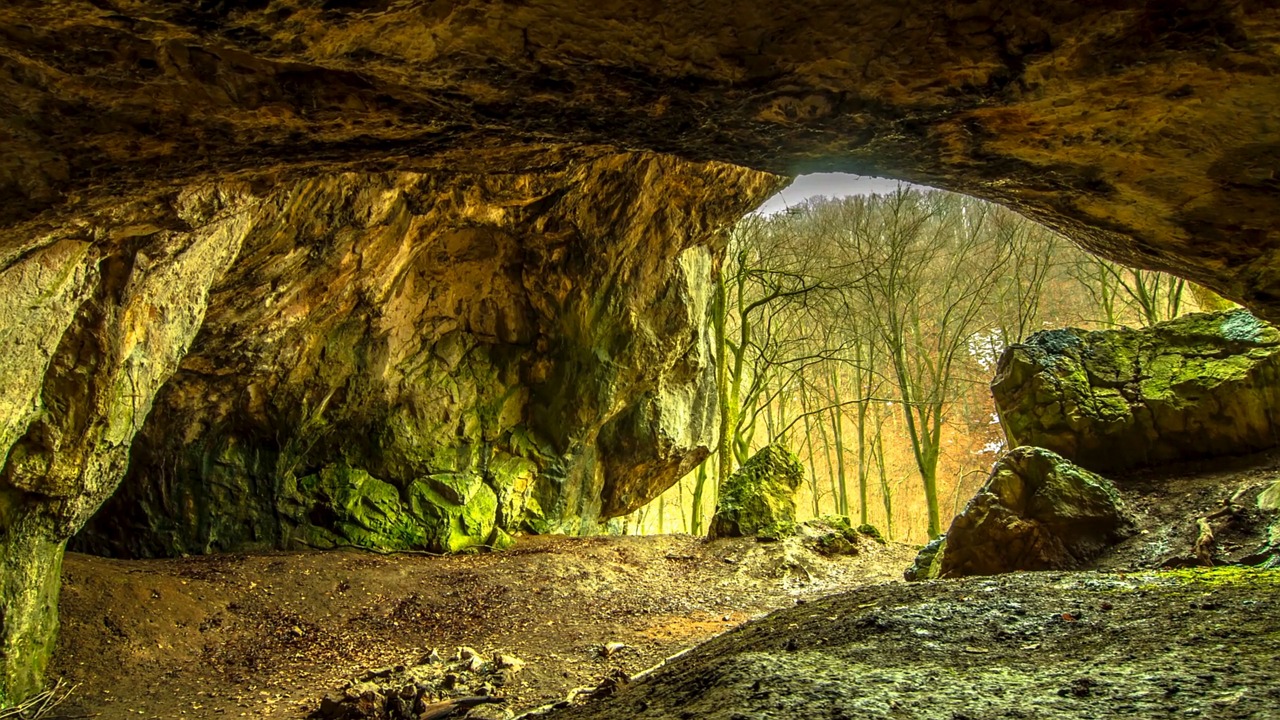 Cave, Rocks, Trees. Free Stock Video - Pixabay