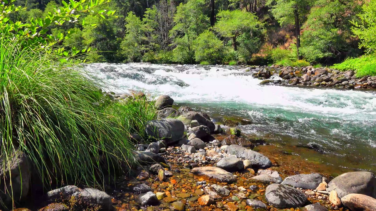 Page 3 - A Stream Videos: Download 2,091+ Free 4K & HD Stock Footage Clips - Pixabay