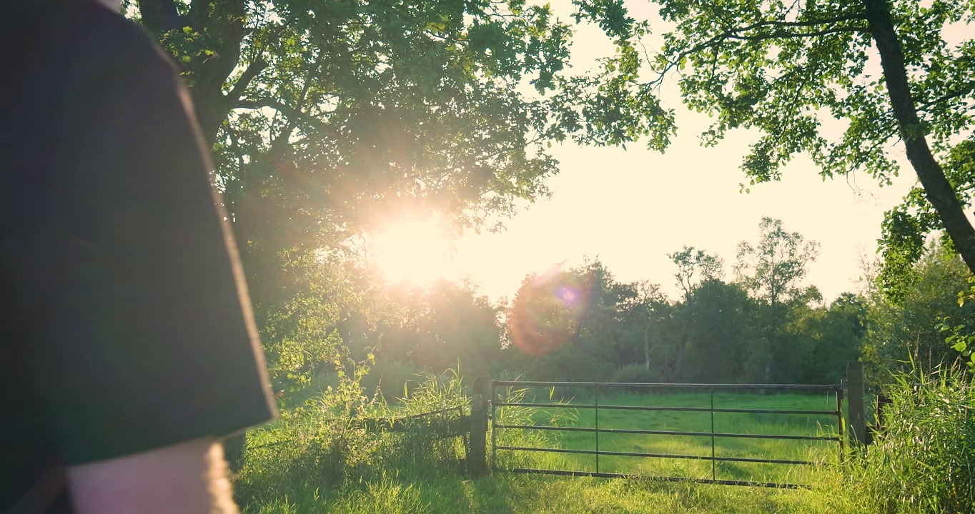 Sunset, Daylight, Summer. Free Stock Video - Pixabay