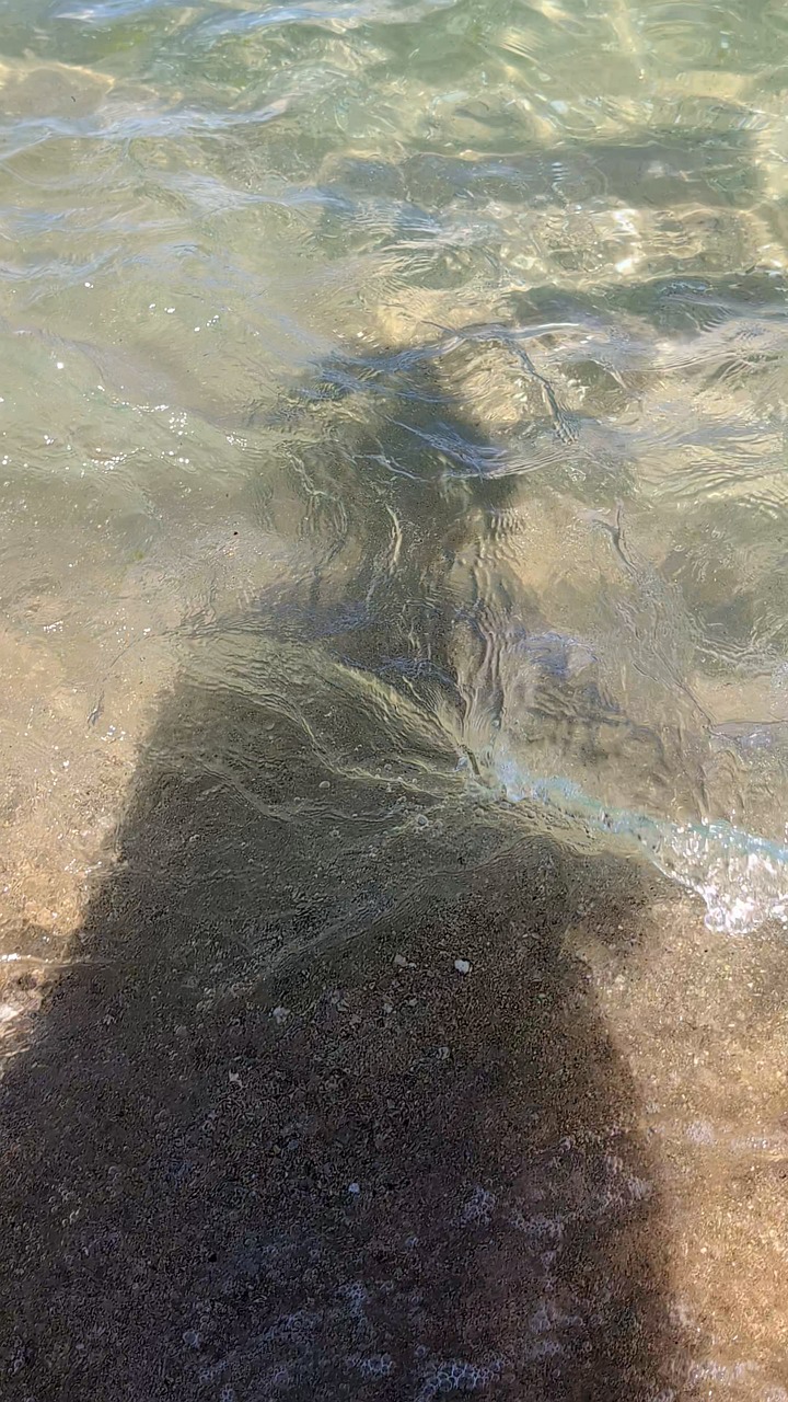 Shadow, The Sea, Waves. Free Stock Video - Pixabay