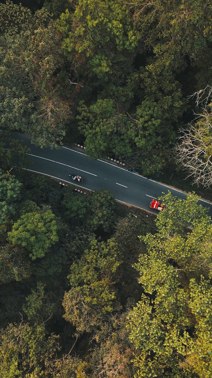 4K Free Stock Footage Videos: Download 3,016+ Free 4K & HD Stock Footage Clips - Pixabay