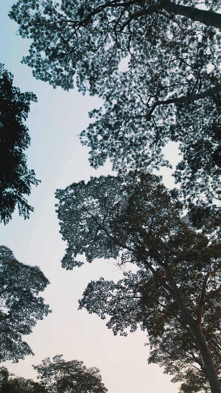 Page 5 - 裸女 4K 壁纸 Videos: Download 2,894+ Free 4K & HD Stock Footage Clips - Pixabay