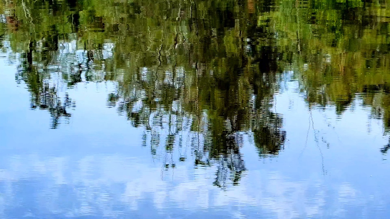 브랭크 Videos: Download 3+ Free 4K & HD Stock Footage Clips - Pixabay
