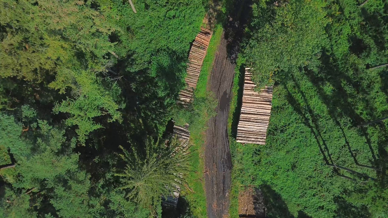 Deforestation Videos: Download 13+ Free 4K & HD Stock Footage Clips ...