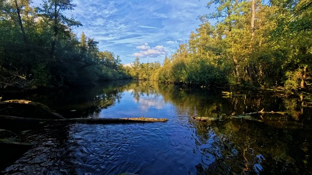Lake, Flow, Landscape. Free Stock Video - Pixabay