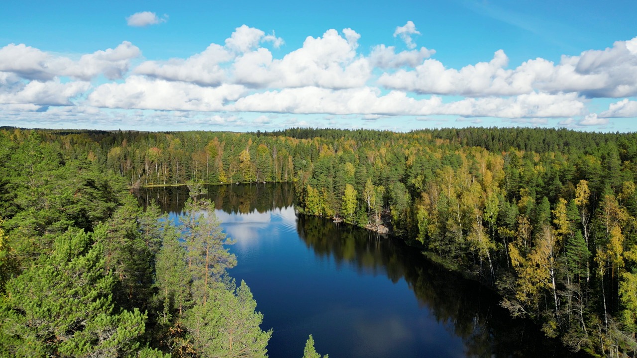 Eco-Friendly Living Videos: Download 976+ Free 4K & HD Stock Footage Clips - Pixabay