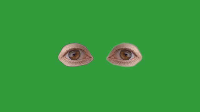 Green Screen, Eyes, Human. Free Stock Video - Pixabay