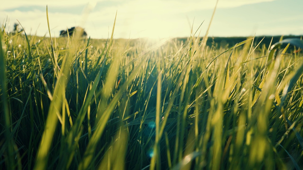 电脑桌面壁纸 4K爱国 Videos: Download 2,333+ Free 4K & HD Stock Footage Clips - Pixabay
