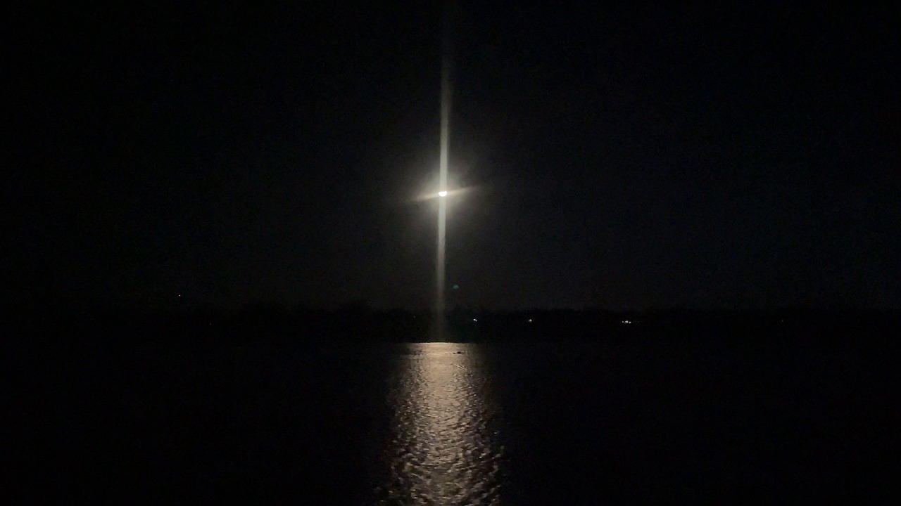 Lua Noite Natureza - Free video on Pixabay