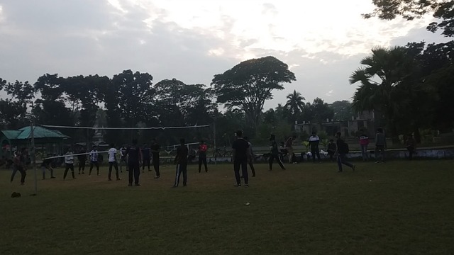 Volleyball, Volley, Nature. Free Stock Video - Pixabay