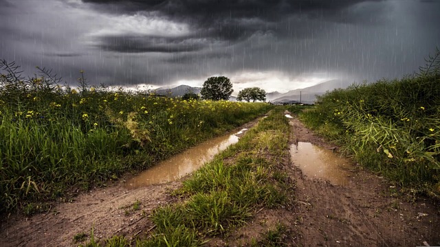 Rain, Nature, Raining. Free Stock Video - Pixabay
