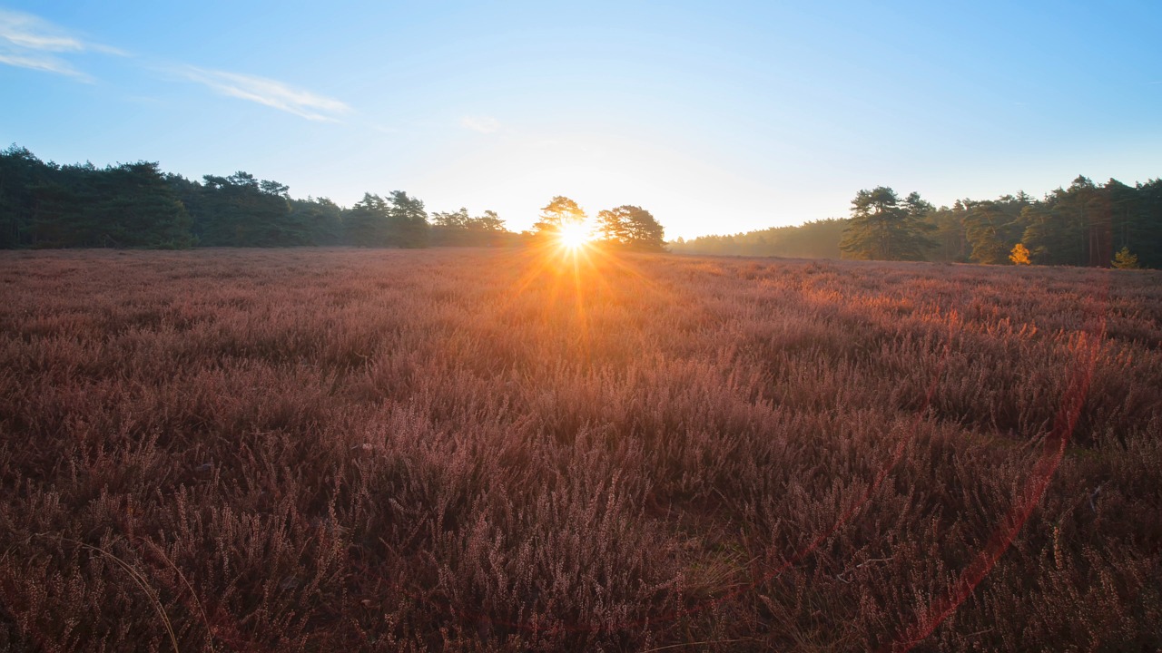 Sunrise, Pagan, Sun. Free Stock Video - Pixabay