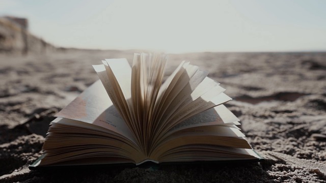 Libro Leyendo Estudiar - Free video on Pixabay