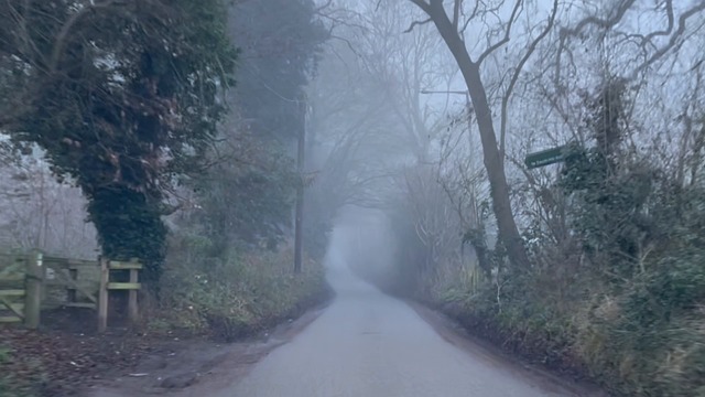 Winter, Foggy, Forest. Free Stock Video - Pixabay