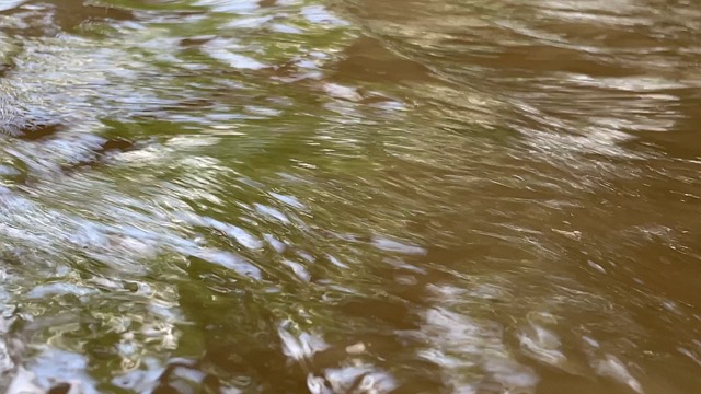 River, Stream, Water. Free Stock Video - Pixabay