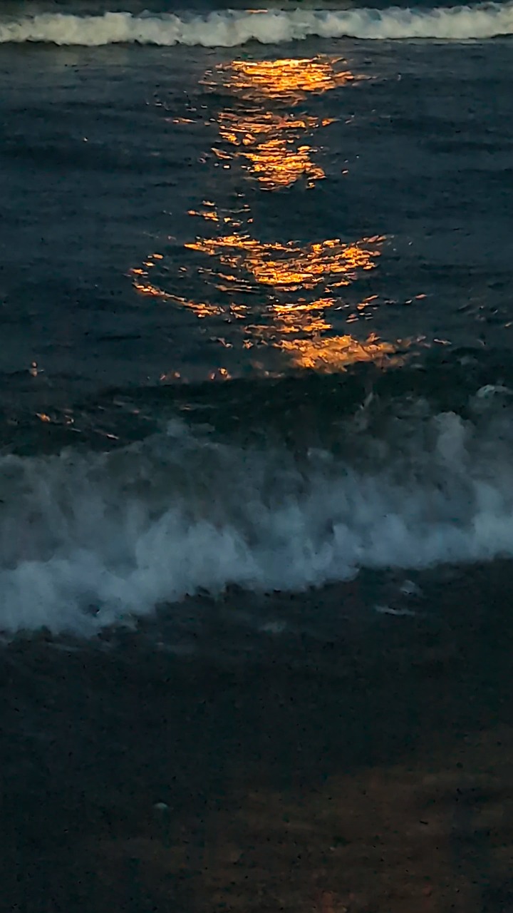 The Sea, The Moon, Moon Rise. Free Stock Video - Pixabay