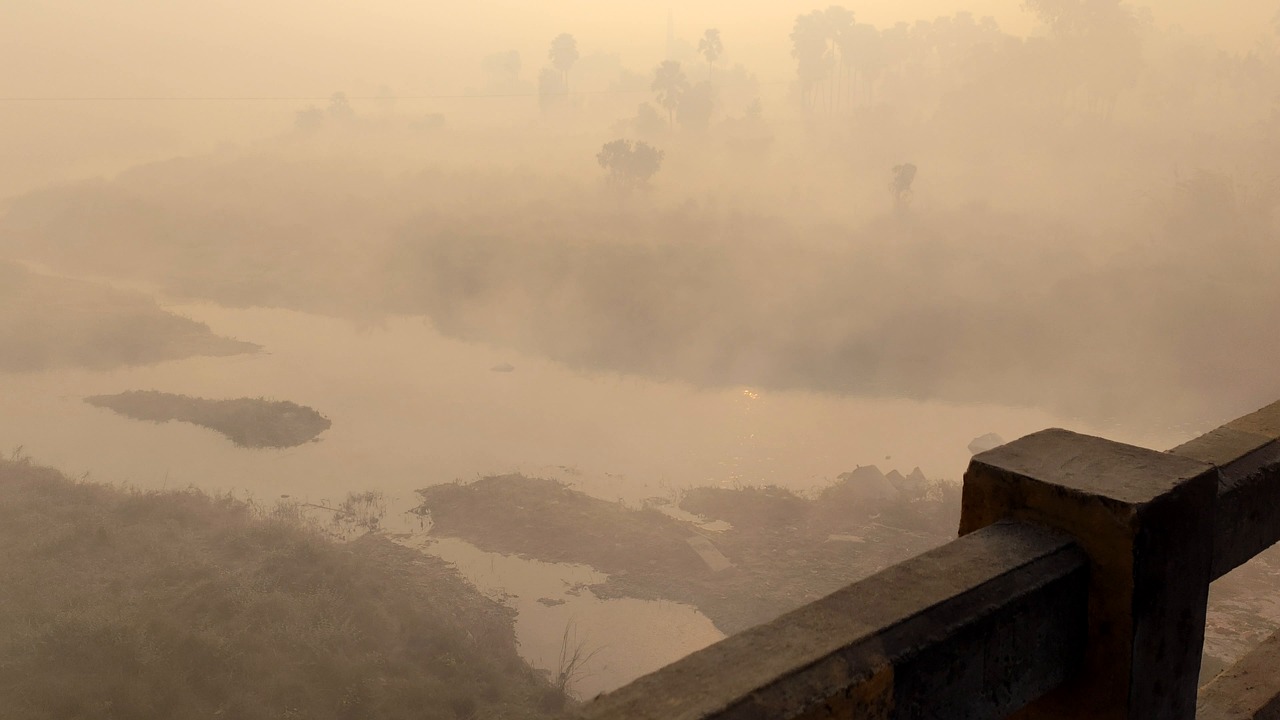 Winter, Fog, Bridge. Free Stock Video - Pixabay
