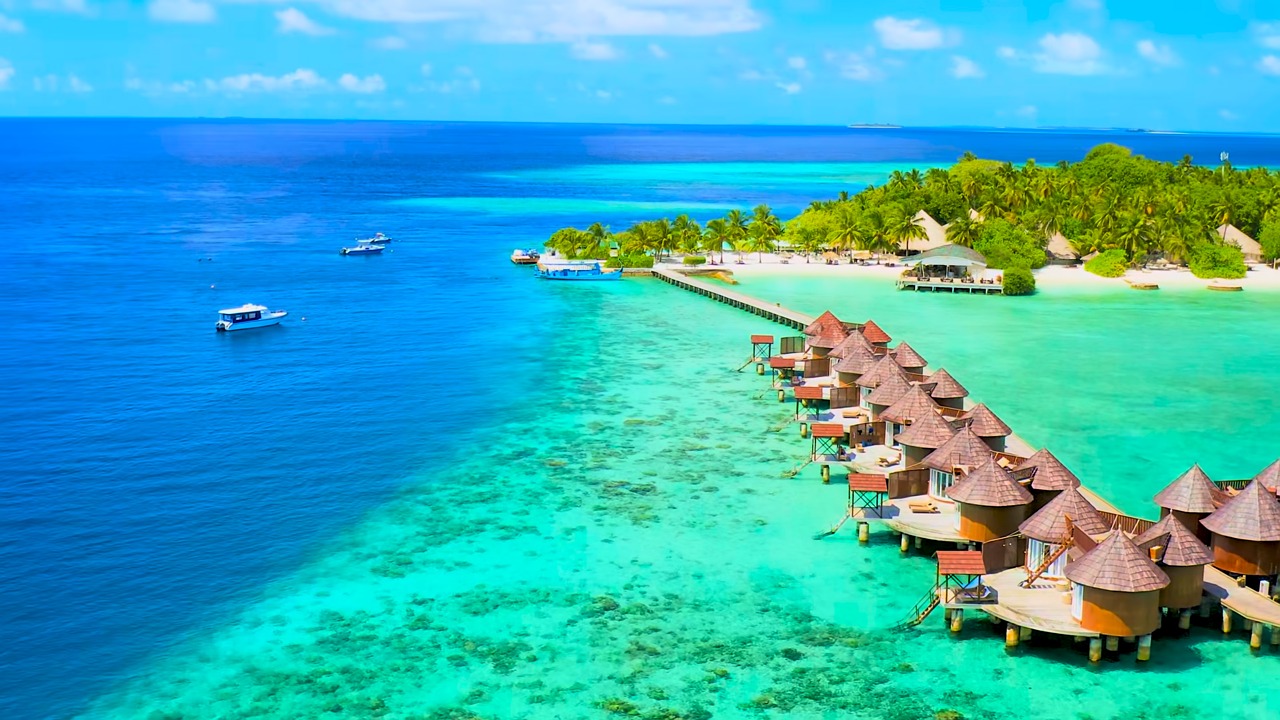 Maldives, Island, Beach. Free Stock Video - Pixabay