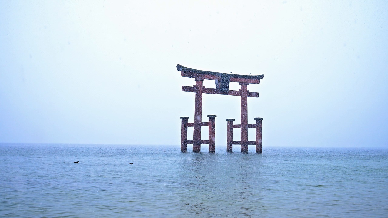 Black And White Japanese Torii Gate Videos: Download 4,896+ Free 4K & HD Stock Footage Clips ...