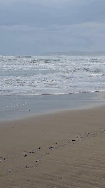 Ocean, Undulations, Waves. Free Stock Video - Pixabay