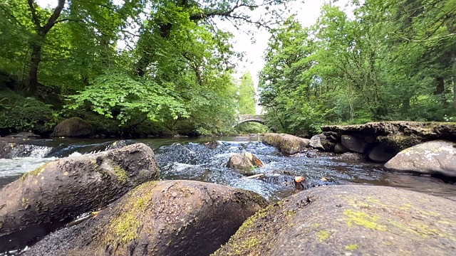 Agua Natureza Ponte - Free video on Pixabay