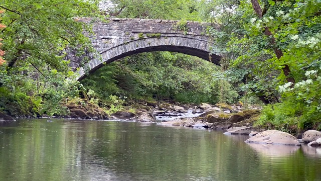 Water, Bridge, Trees. Free Stock Video - Pixabay