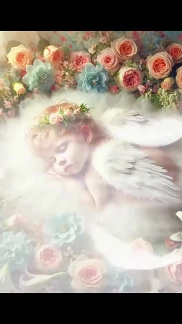 Baby Angel Flower - Free video on Pixabay