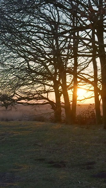 Netherlands, Drenthe, Nature. Free Stock Video - Pixabay