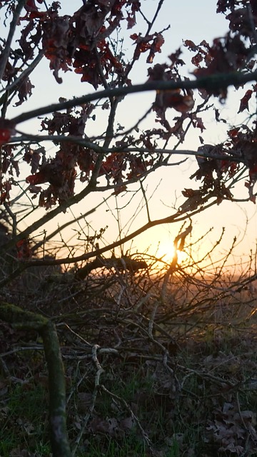 Netherlands, Drenthe, Nature. Free Stock Video - Pixabay