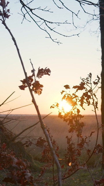 Netherlands, Drenthe, Nature. Free Stock Video - Pixabay