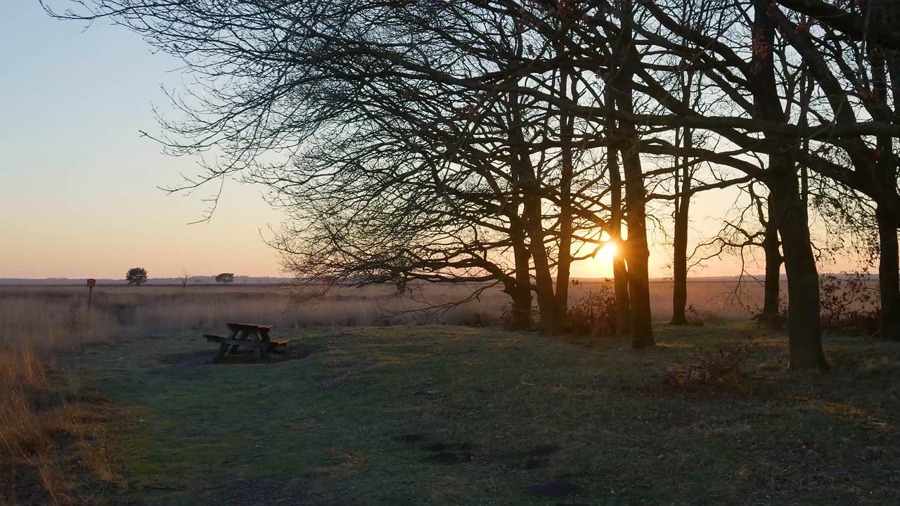 Netherlands, Drenthe, Nature. Free Stock Video - Pixabay