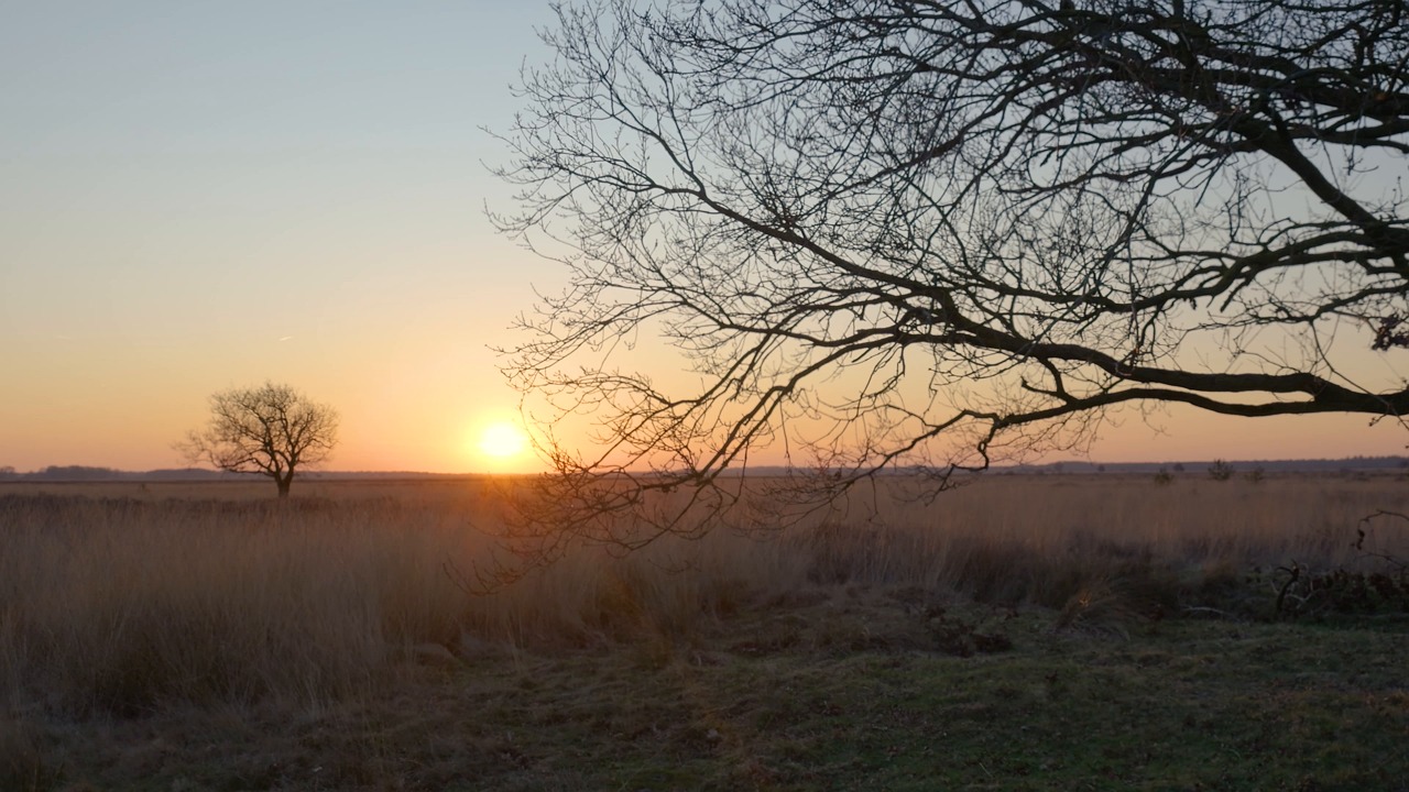 Netherlands, Drenthe, Nature. Free Stock Video - Pixabay