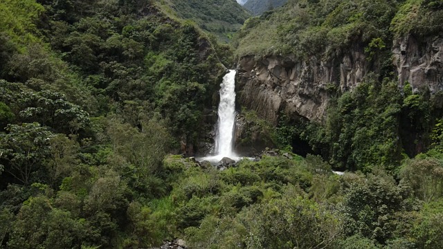 Waterfall, Cascade, Trees. Free Stock Video - Pixabay