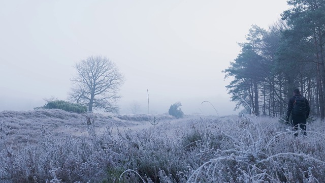 Natureza Inverno Frio Países - Free video on Pixabay