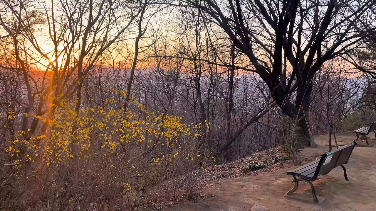 Sunset, Nature, Dusk. Free Stock Video - Pixabay