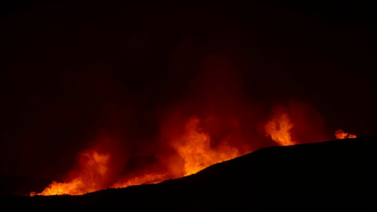 Wildfire, Nature, Smoke. Free Stock Video - Pixabay