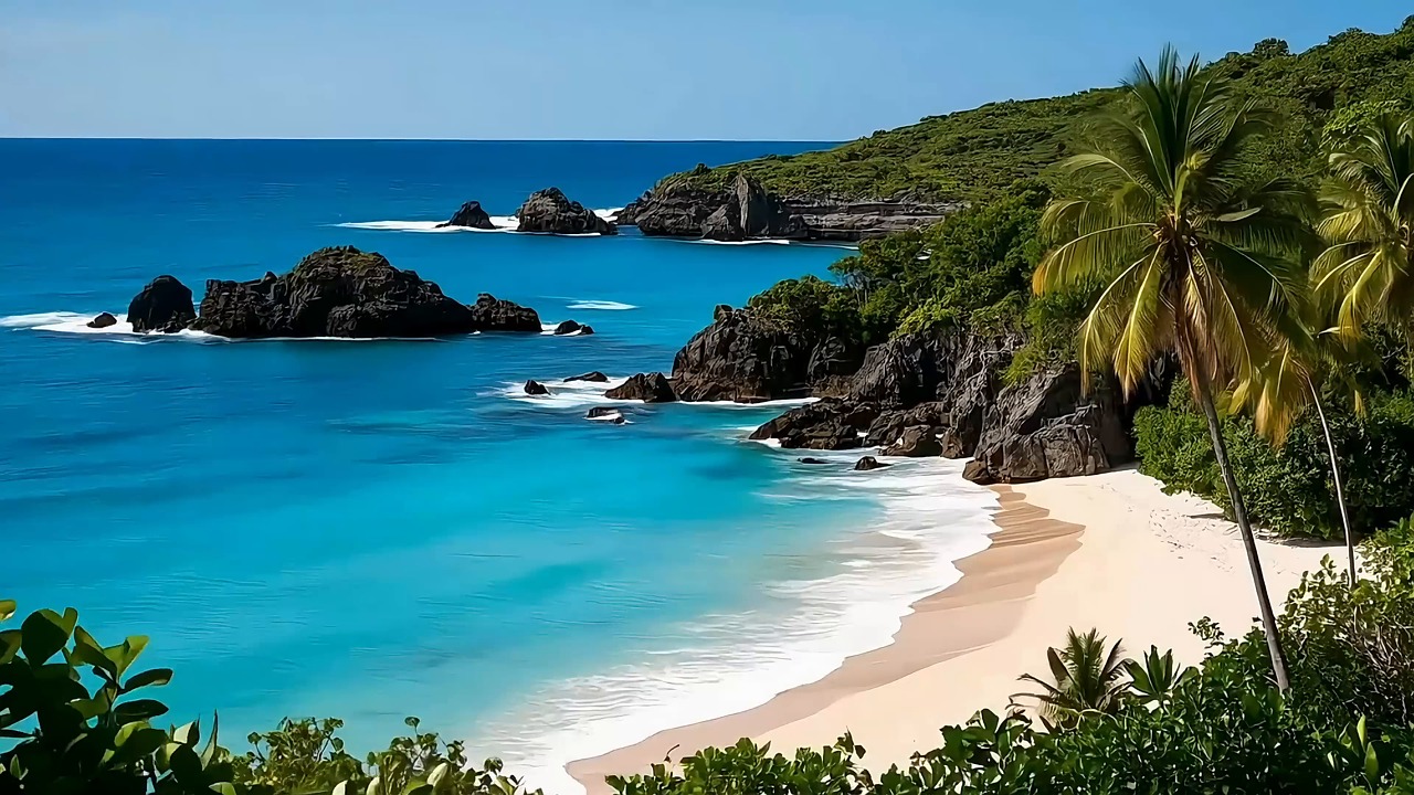 Beach Nature Rest - Free video on Pixabay