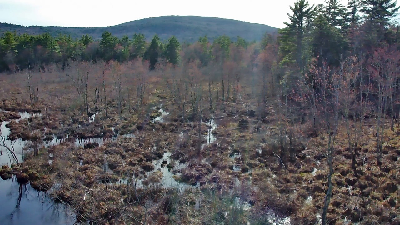 Drone, Swamp, River. Free Stock Video - Pixabay