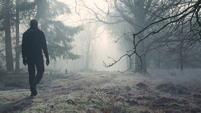 Humans Walking Videos: Download 2,232+ Free 4K & HD Stock Footage Clips ...