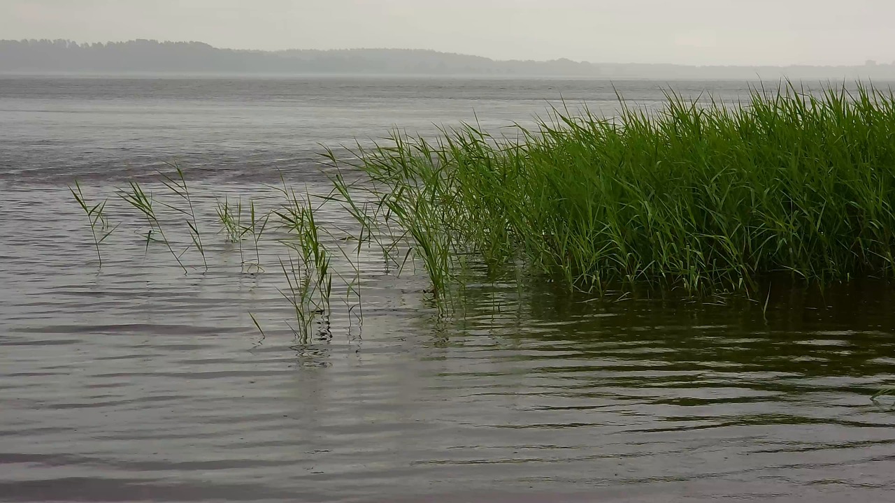 Rain On Lake, Rainy Lake, Raindrops On Water. Free Stock Video - Pixabay