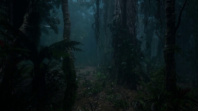Trees, Forest, Nature. Free Stock Video - Pixabay
