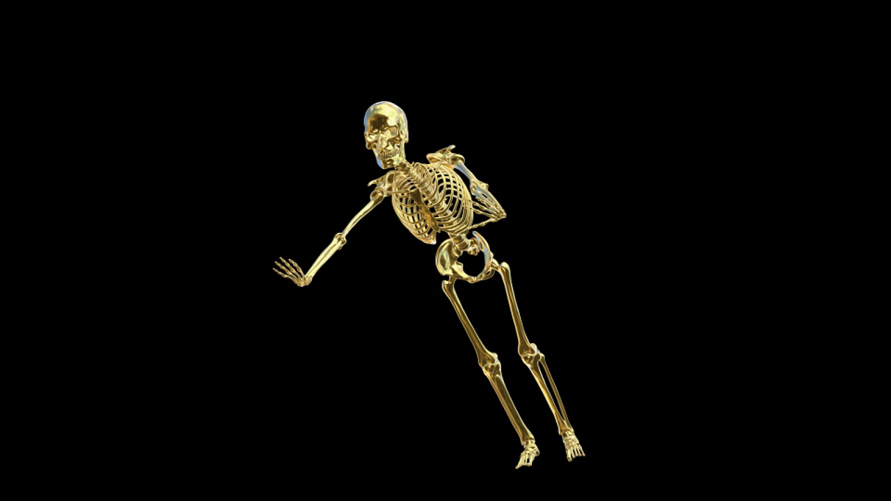 Pushups, Push-Ups, Push Ups. Free Stock Video - Pixabay