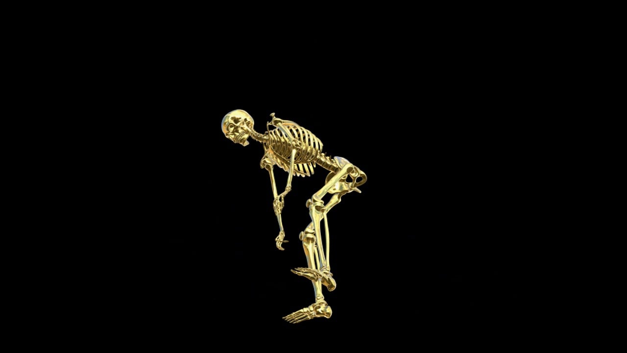 Skeleton Animation Videos: Download 6,867+ Free 4K & HD Stock Footage ...
