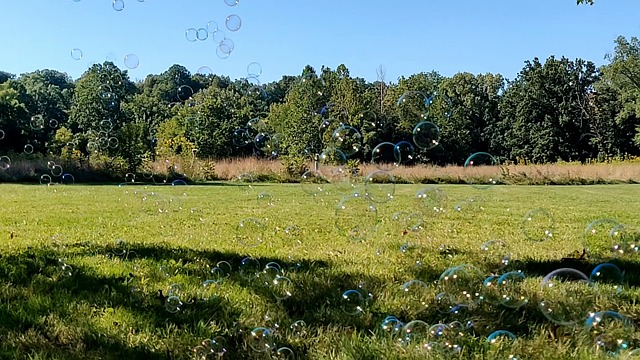 Bubbles, Summer, Nature. Free Stock Video - Pixabay