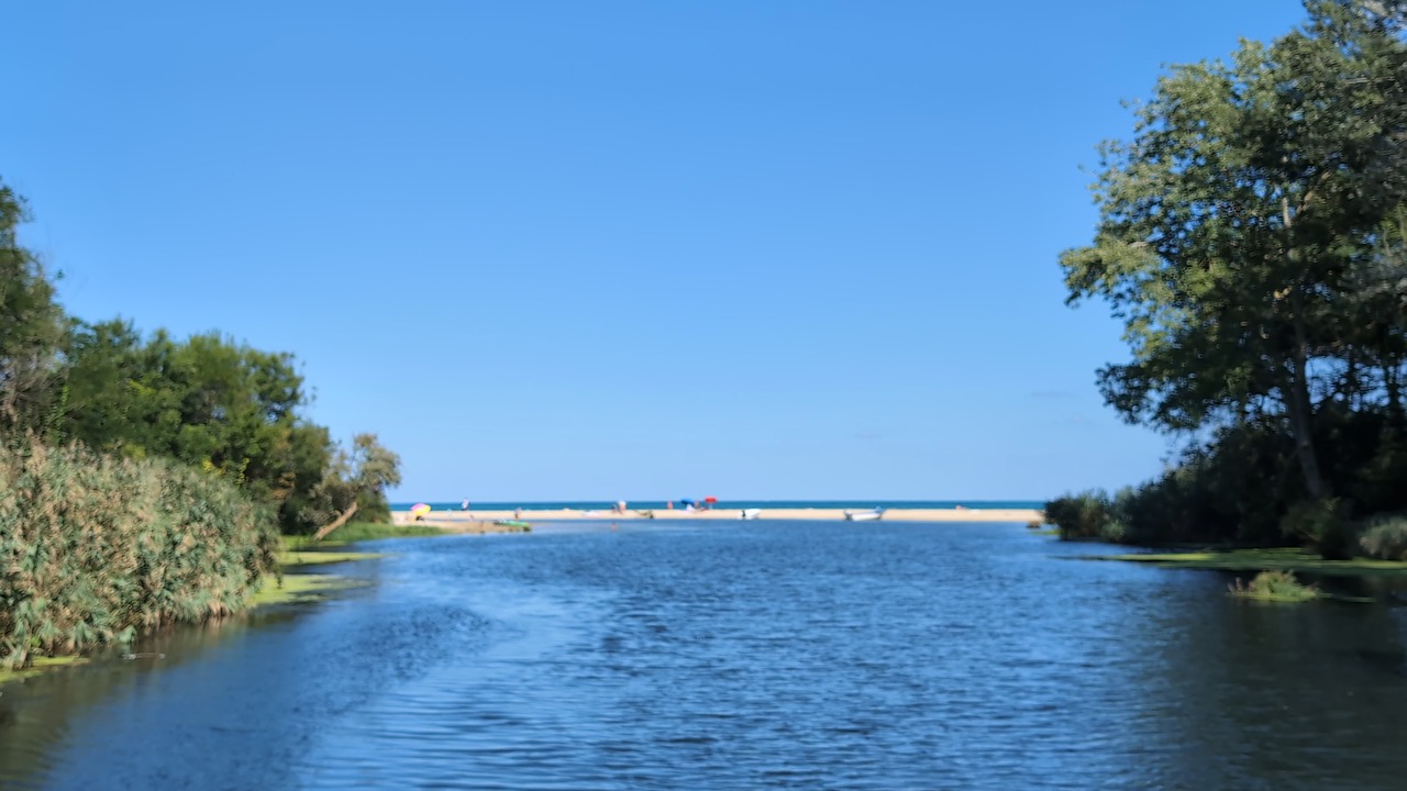 Estuary, Nature, Landscape. Free Stock Video - Pixabay