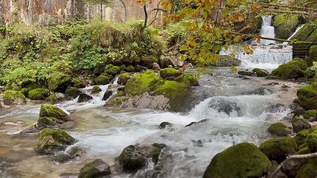 Flow, Water, Nature. Free Stock Video - Pixabay